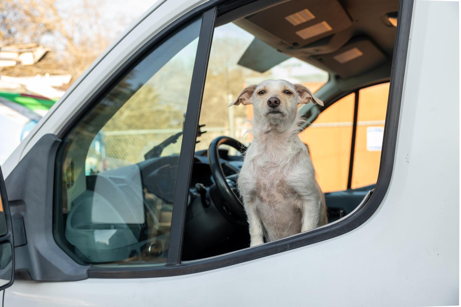 Exploring Fun: Our Sports and Rec Project around Live Oak, TX - ASC ...