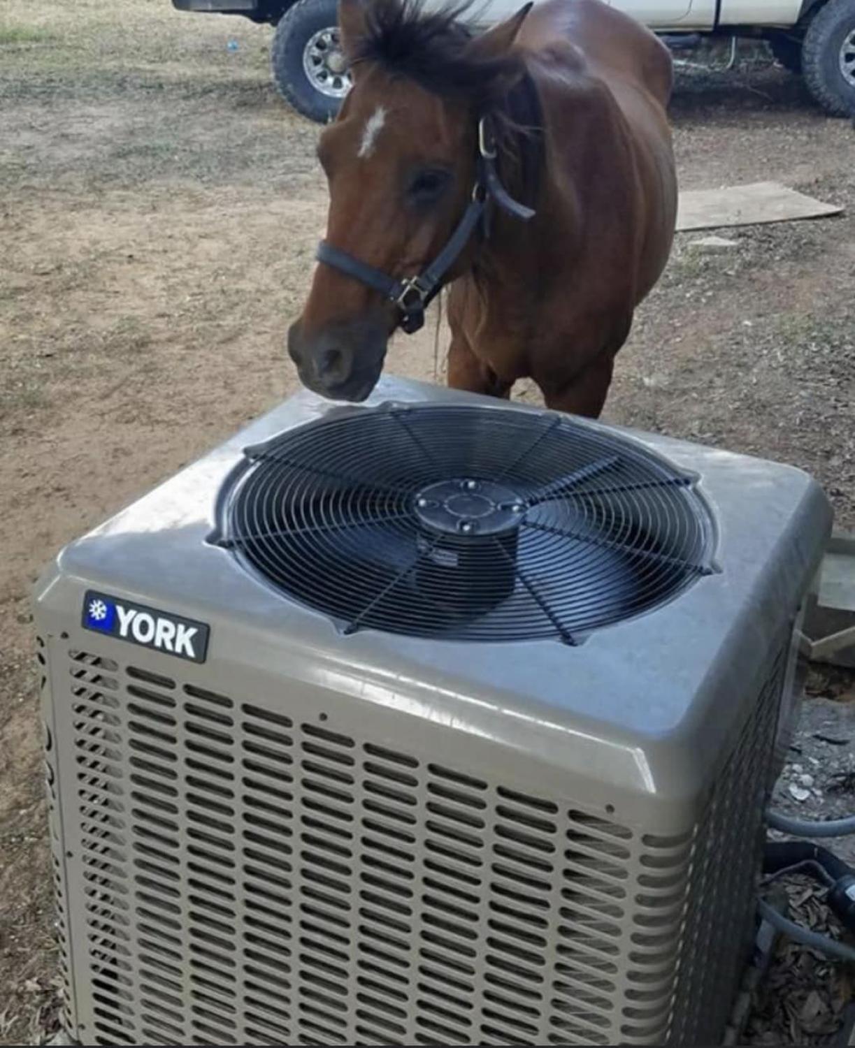 ASC Heating's Guide to Heater Core Issues - ASC Heating & Air