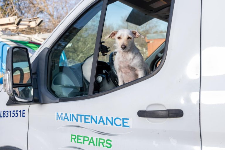 Exploring Schertz Weather Patterns: Our Key Findings - ASC Heating & Air