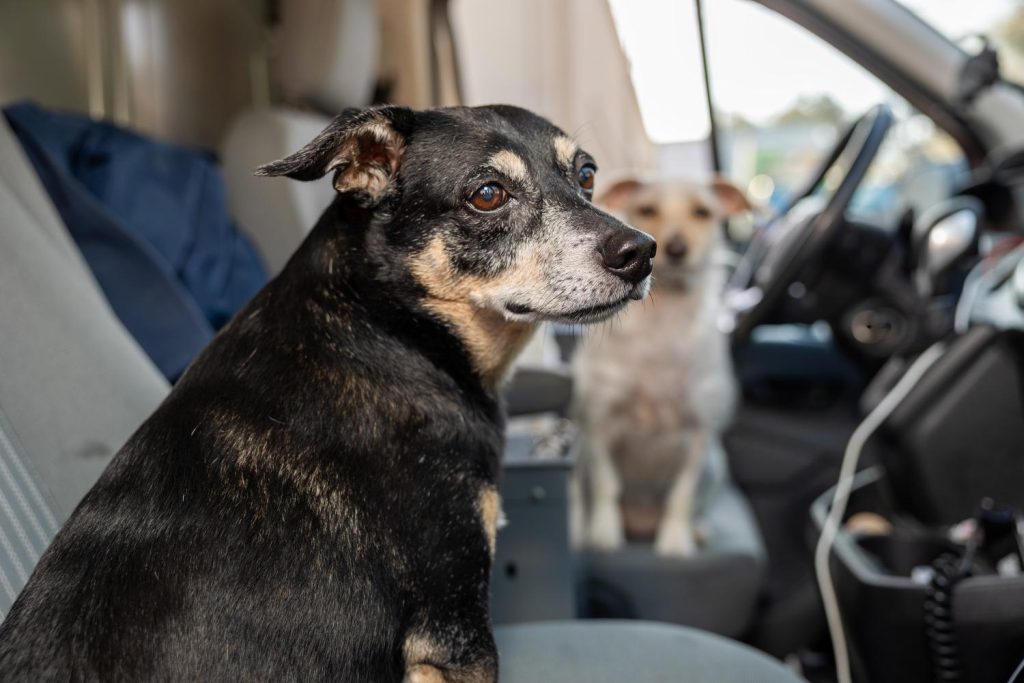 Making San Antonio Homes Comfy: Our Heating and Air Project - ASC ...